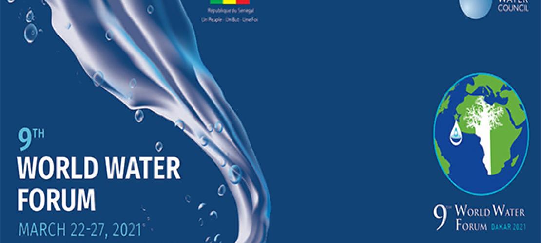 9th World Water Forum: Water security for peace and development | AWF ...