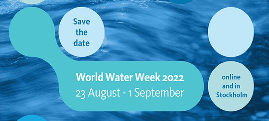 World Water Week 2022 - Seeing the unseen: The value of water | AWF ...