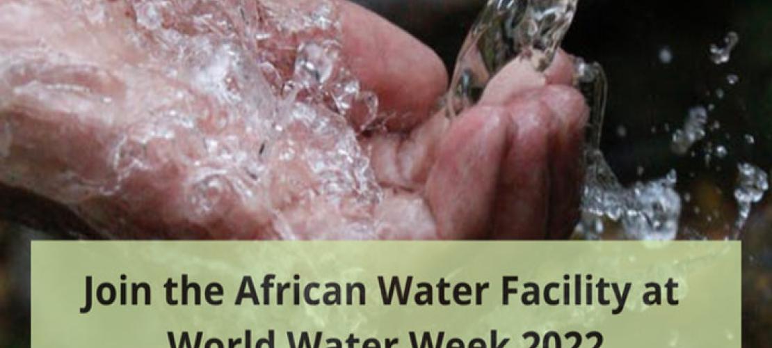 African Water Facility at World Water Week 2022 | AWF, African Water ...